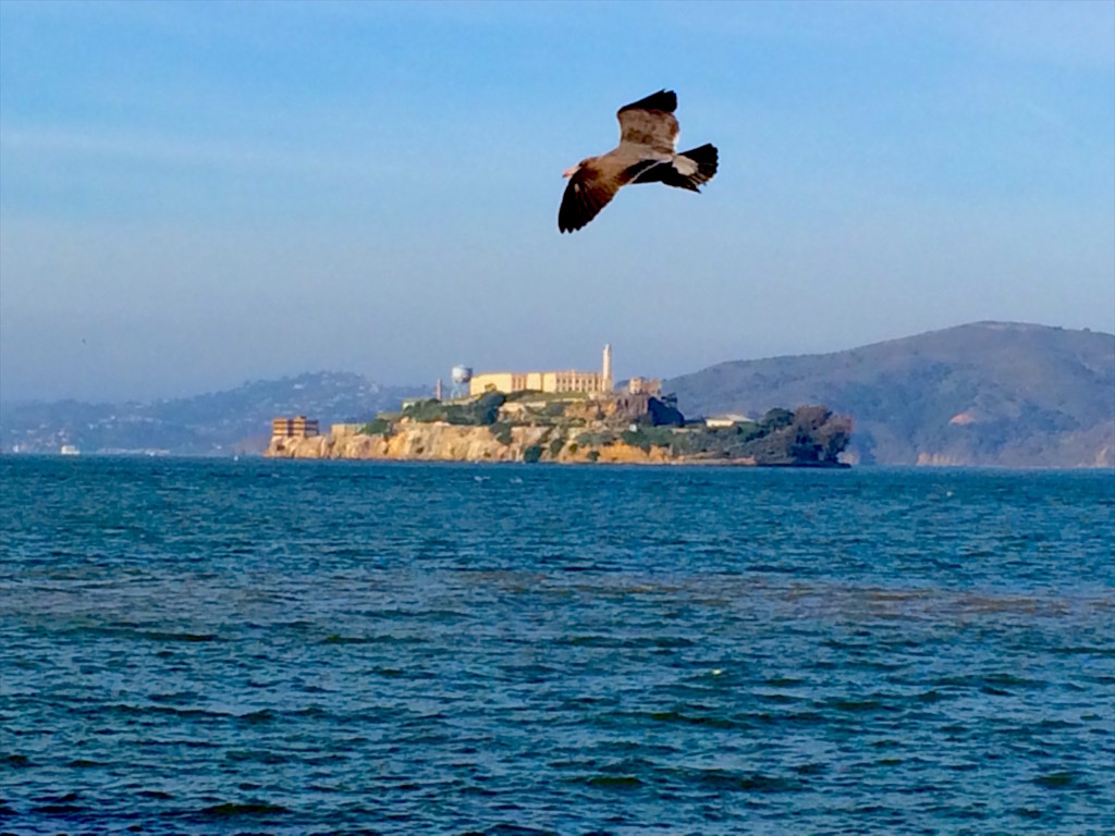 HISTORY OF ALCATRAZ - Alcatraz Now